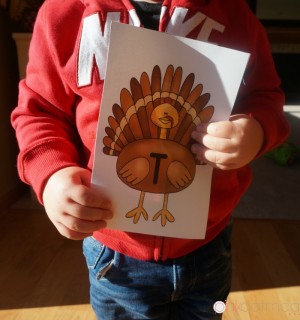 Turkey Trot - Pink Oatmeal