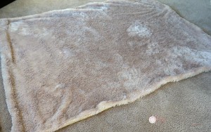 Baby Monthly Pictures - Pink Oatmeal