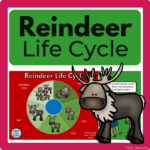 Reindeer Games Camp - Holiday Gross Motor - Pink Oatmeal