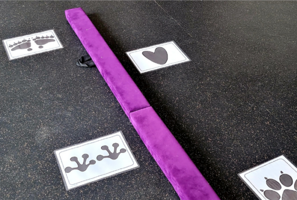 Camping Themed Gross Motor and Fine Motor Activities - Pink Oatmeal