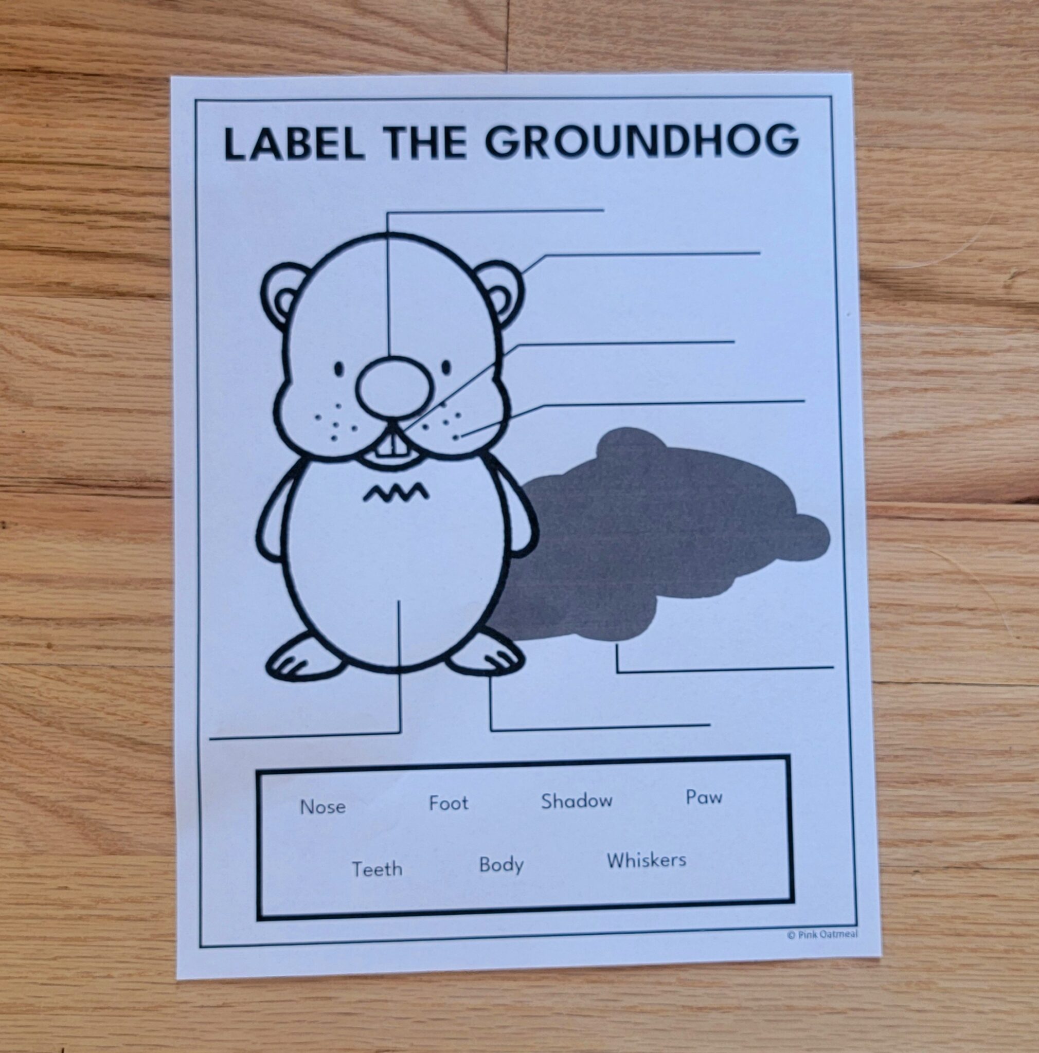 Groundhog Day Motor Skills Activities - Pink Oatmeal